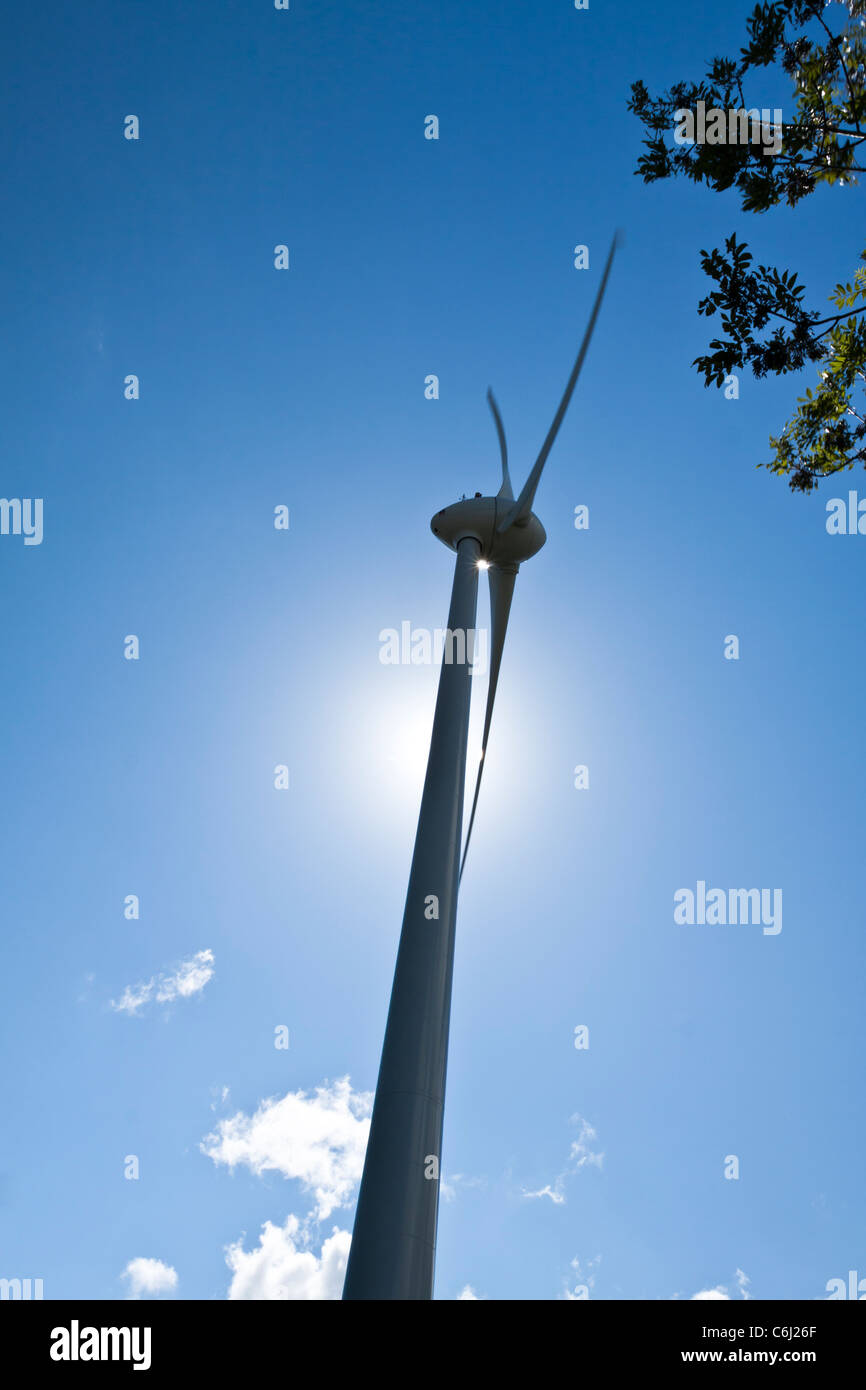 Balloo bangor hi-res stock photography and images - Alamy