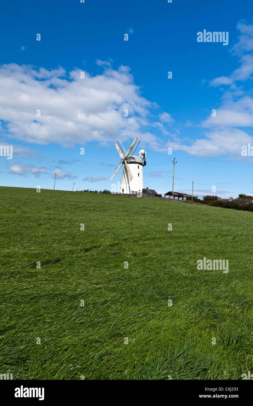 Millisle hi-res stock photography and images - Alamy