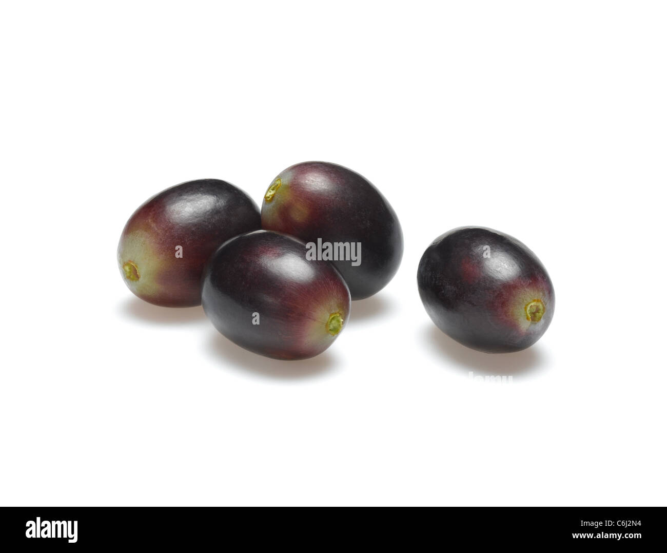 Black grape hi-res stock photography and images - Alamy
