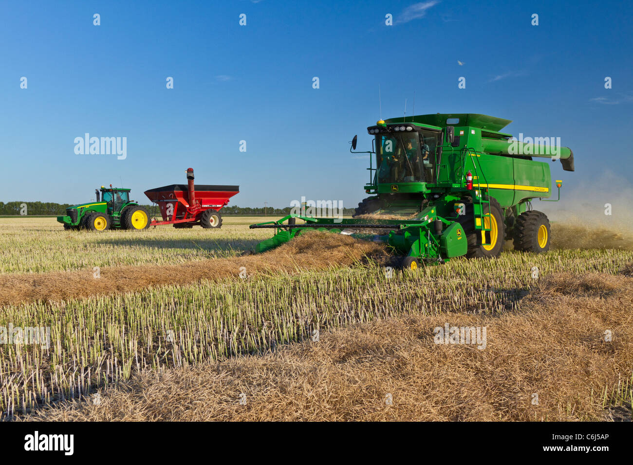 A John Deere combine harvesting a canola crop on the Froese farm near ...