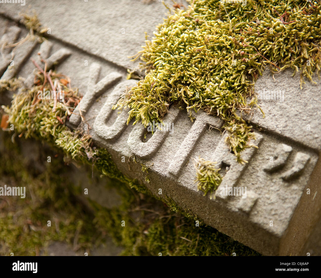 Graveyard moss hi-res stock photography and images - Alamy