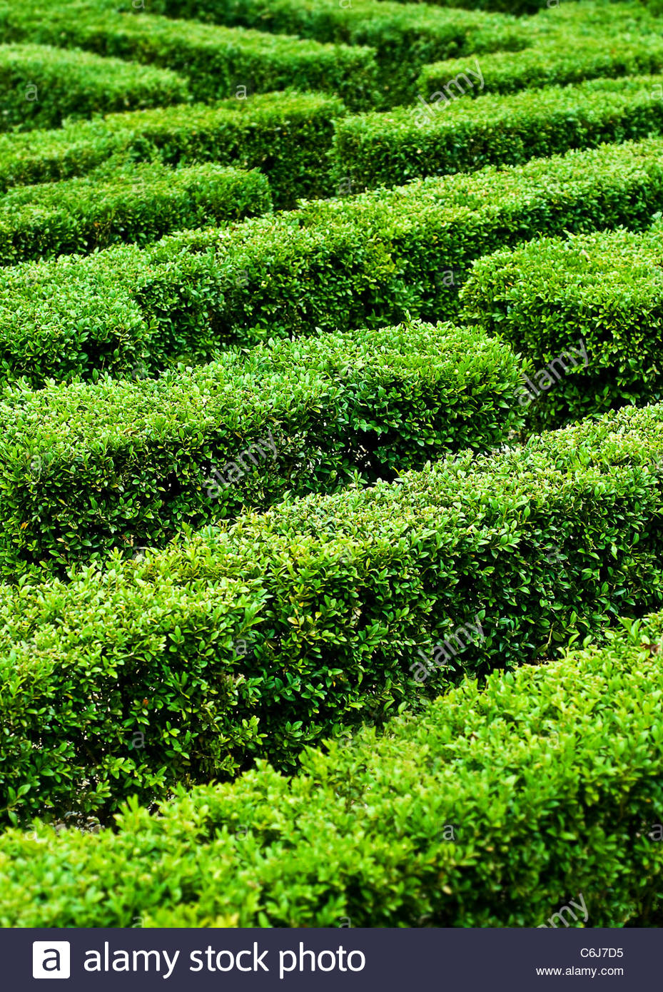 Hedge Maze Stock Photos & Hedge Maze Stock Images - Alamy