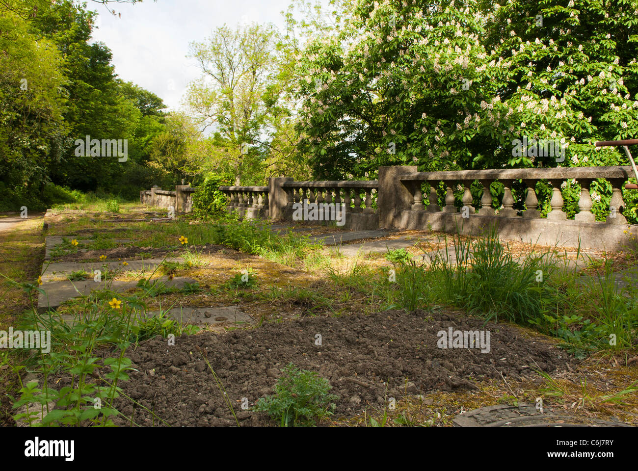 Sheffield General Cemetery, Sheffield, UK Stock Photo - Alamy