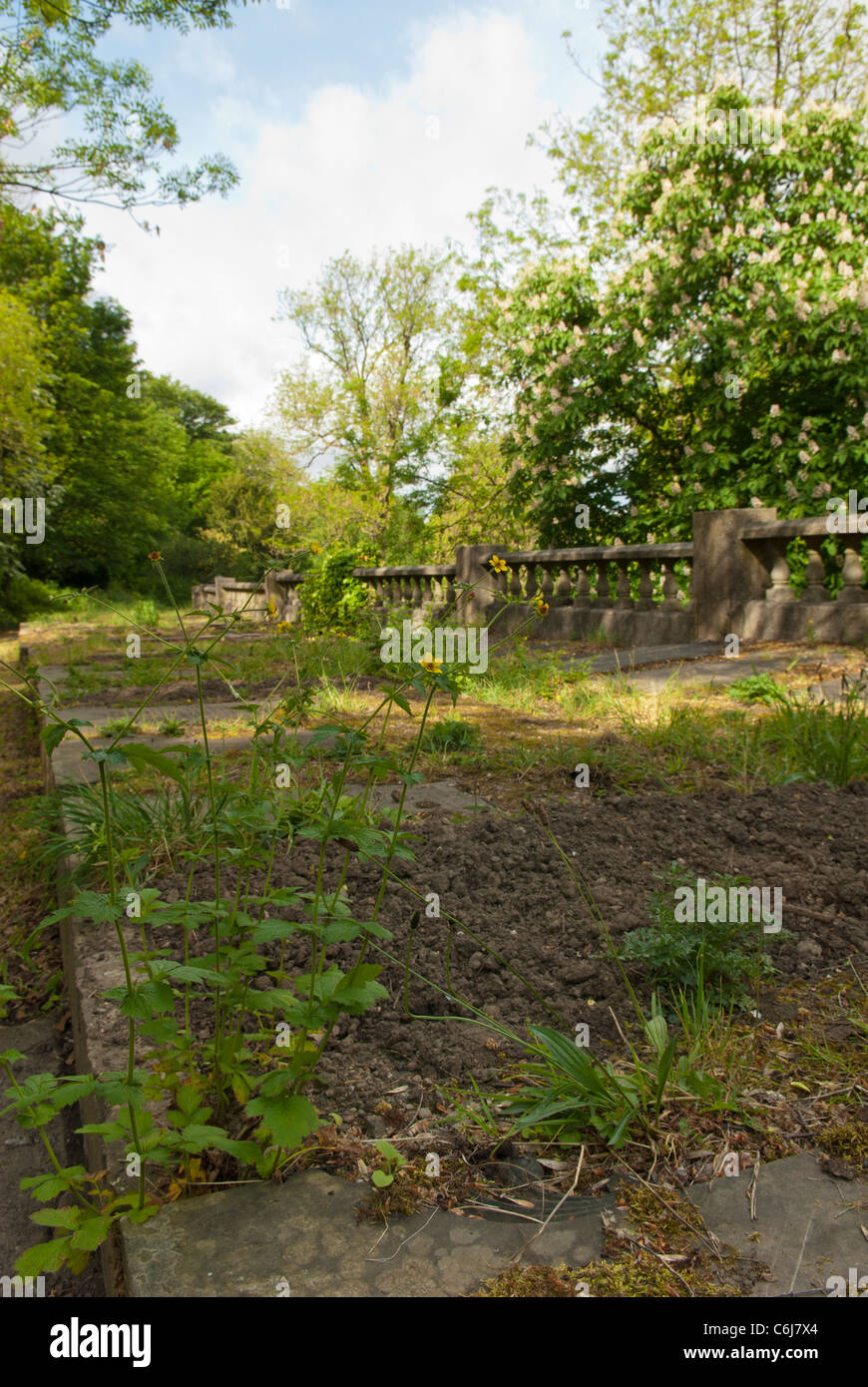 Sheffield General Cemetery High Resolution Stock Photography and Images ...