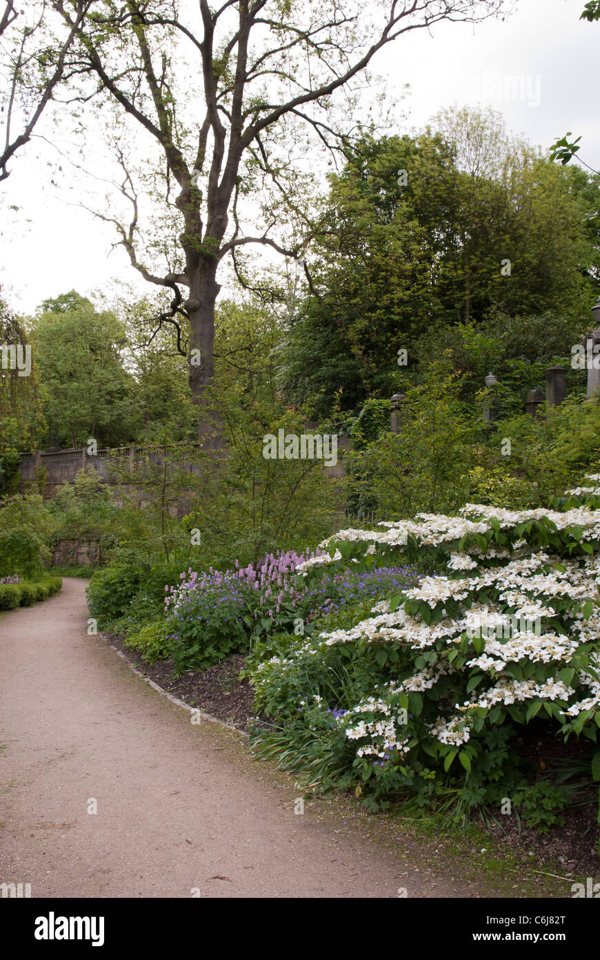 Sheffield general cemetery hi-res stock photography and images - Alamy