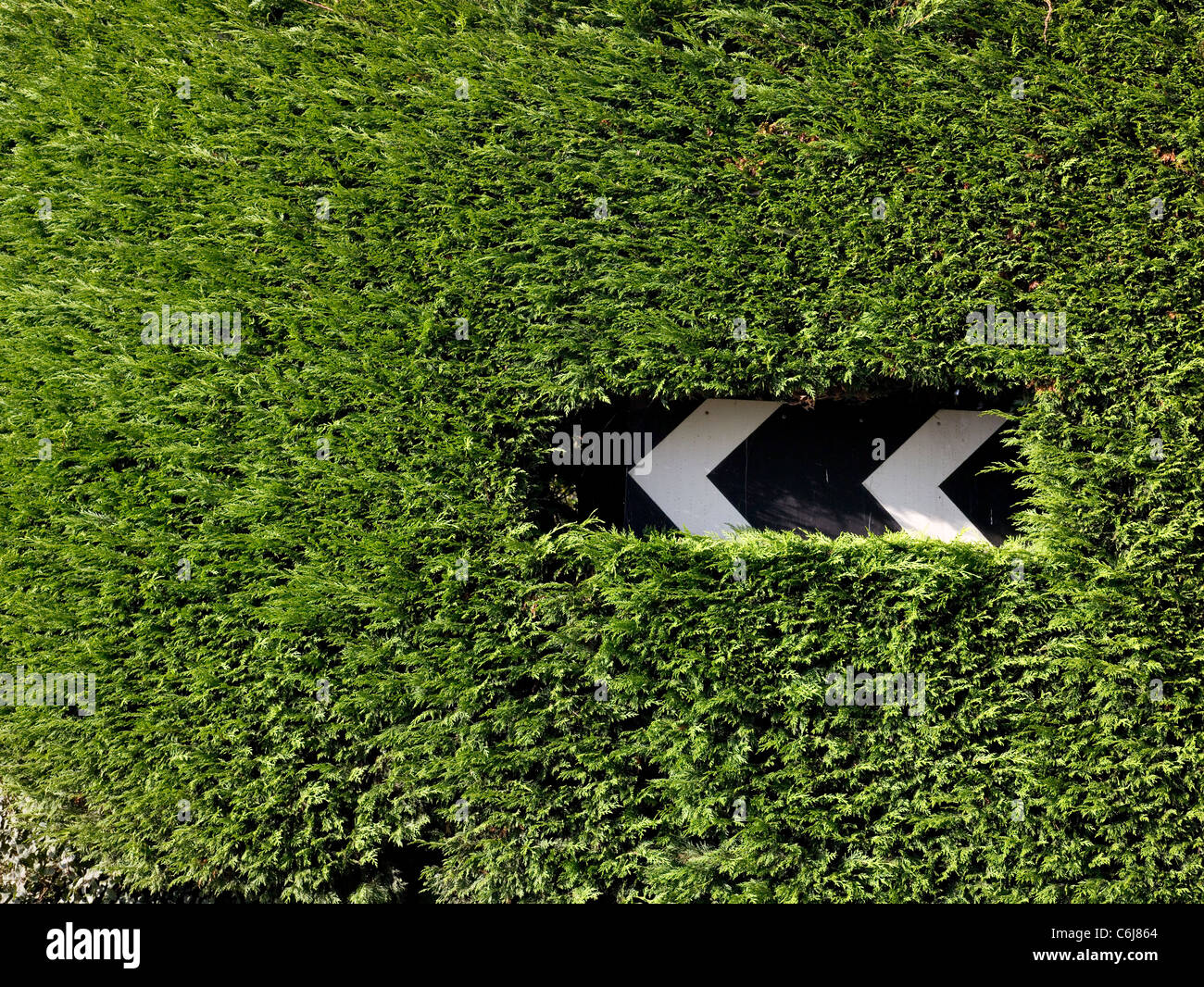 Road hedge hi-res stock photography and images - Alamy