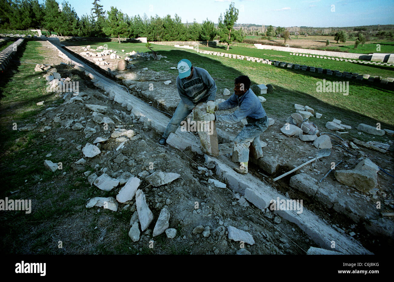Twelve tree copse 1915 hi-res stock photography and images - Alamy