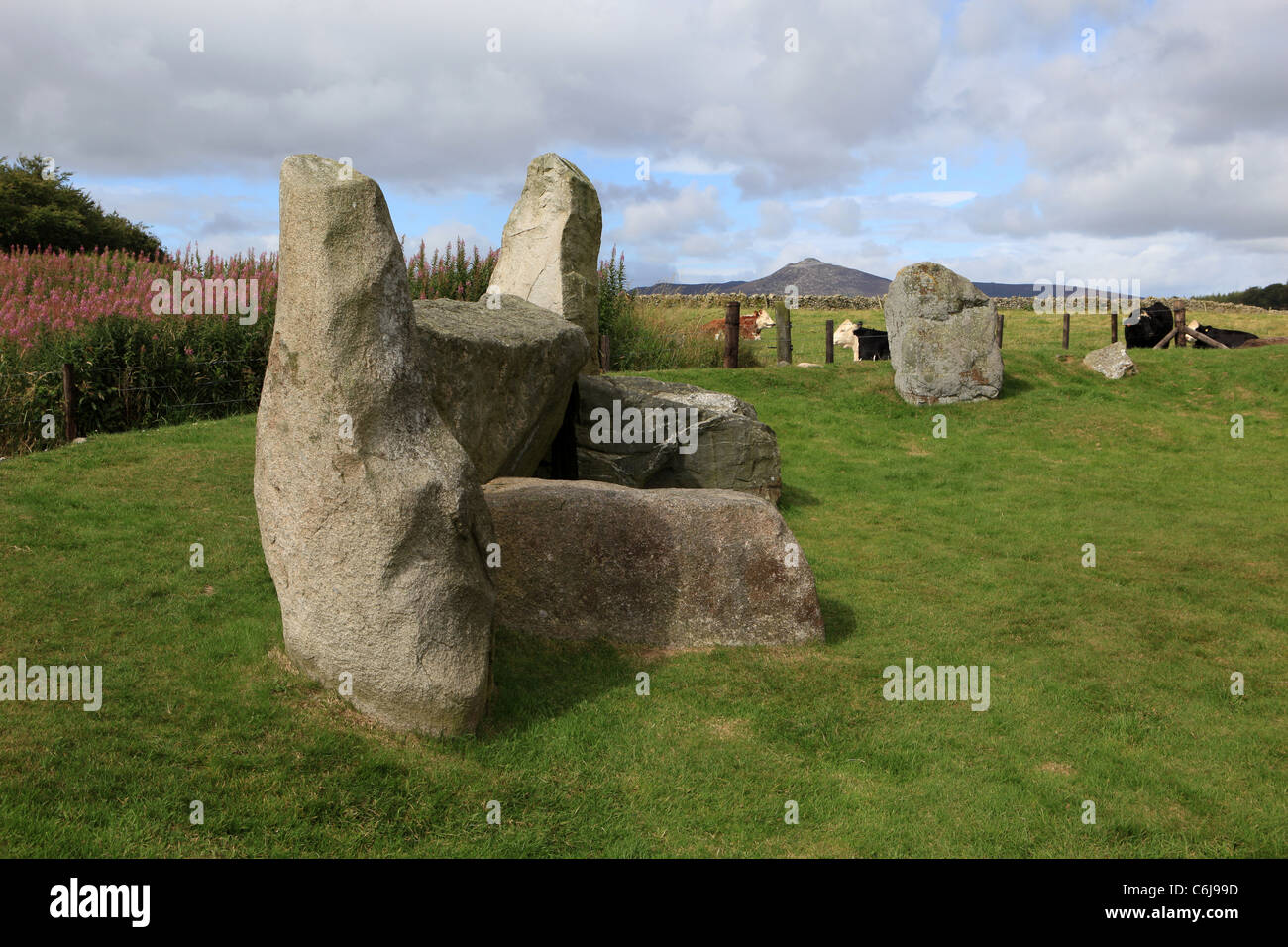 [Easter Aquhorthies Stone Circle], a 4000-year-old [recumbent stone ...