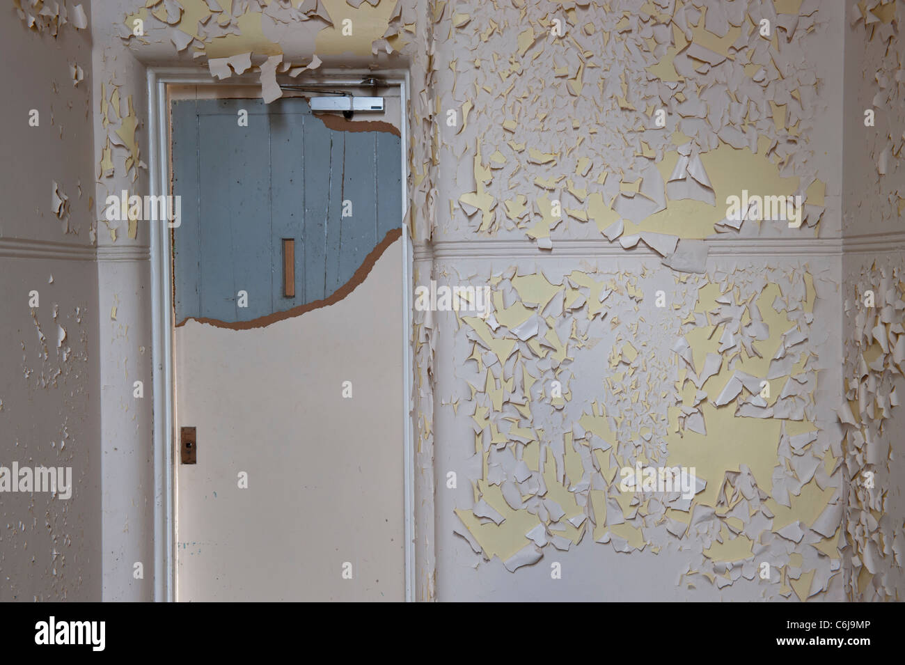 Abandoned Isolation Room in the Lunatic Asylum Ward of a Derelict ...