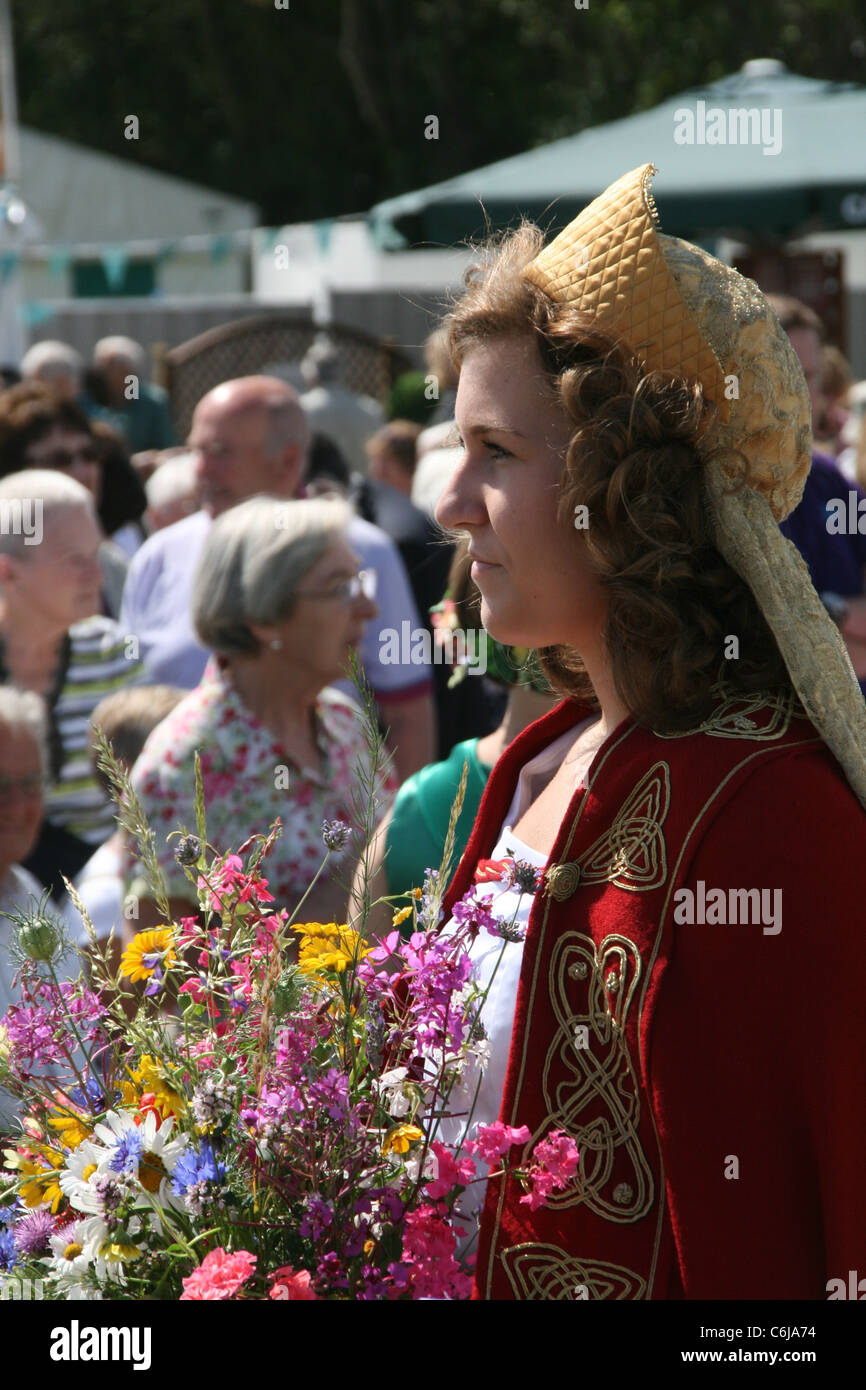 Bards druids national eisteddfod wales hi-res stock photography and ...