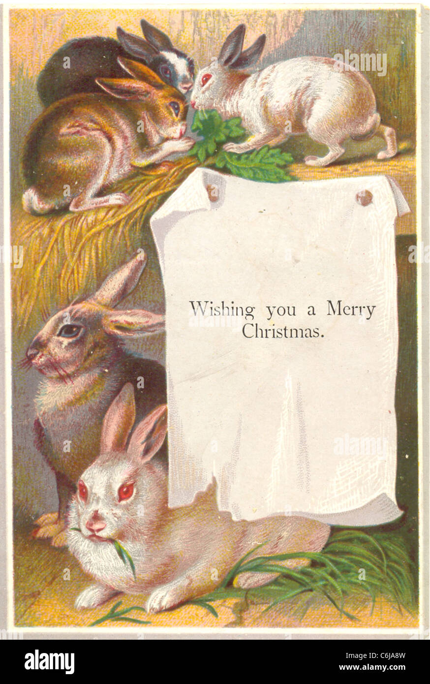 Chromolithographed Victorian greeting card of rabbits Stock Photo - Alamy