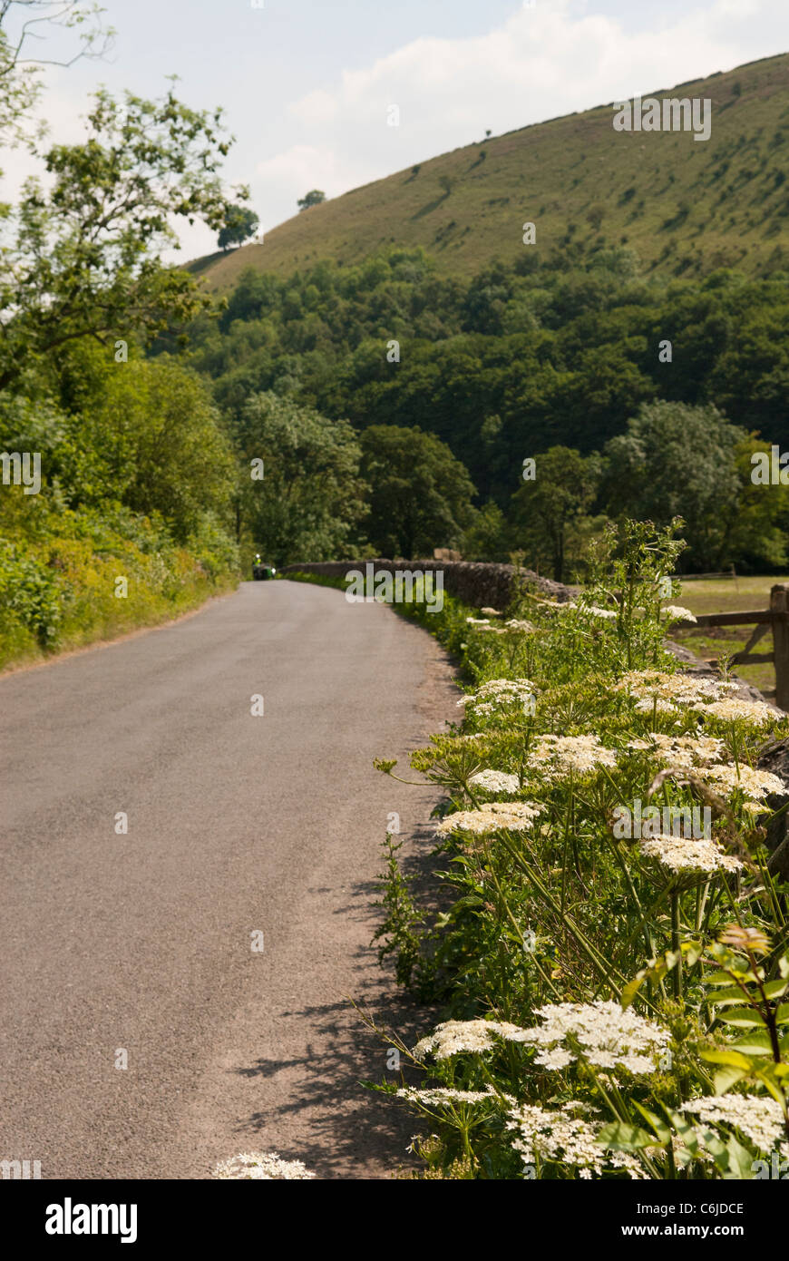 An English country lane, The Peak District National Park, Derbyshire ...