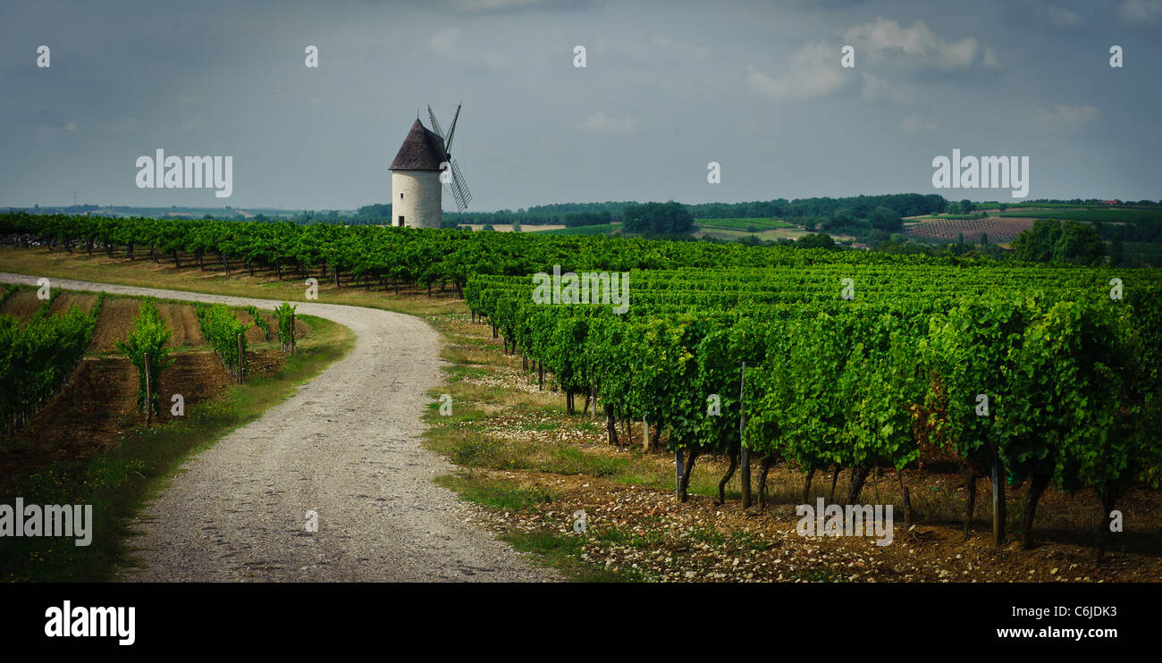 France vineyard hi-res stock photography and images - Alamy
