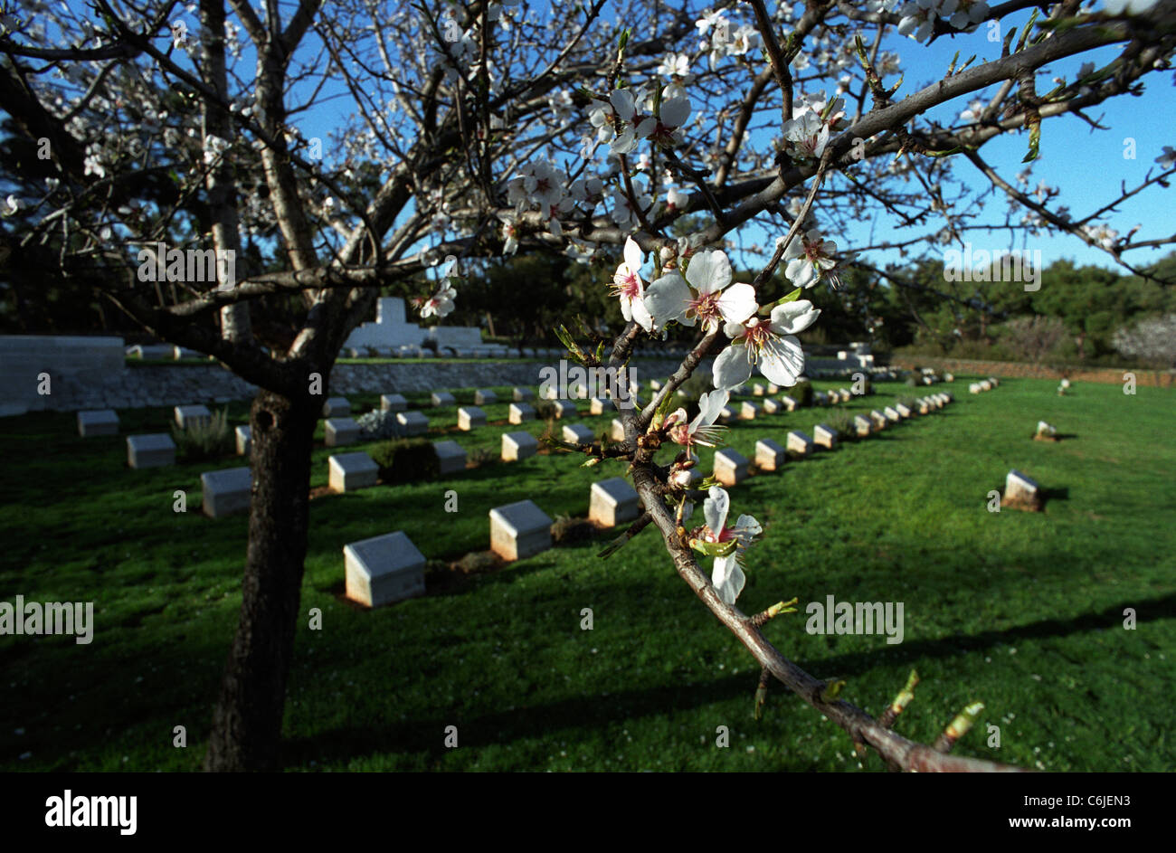 Pink farm cemetery hi-res stock photography and images - Alamy