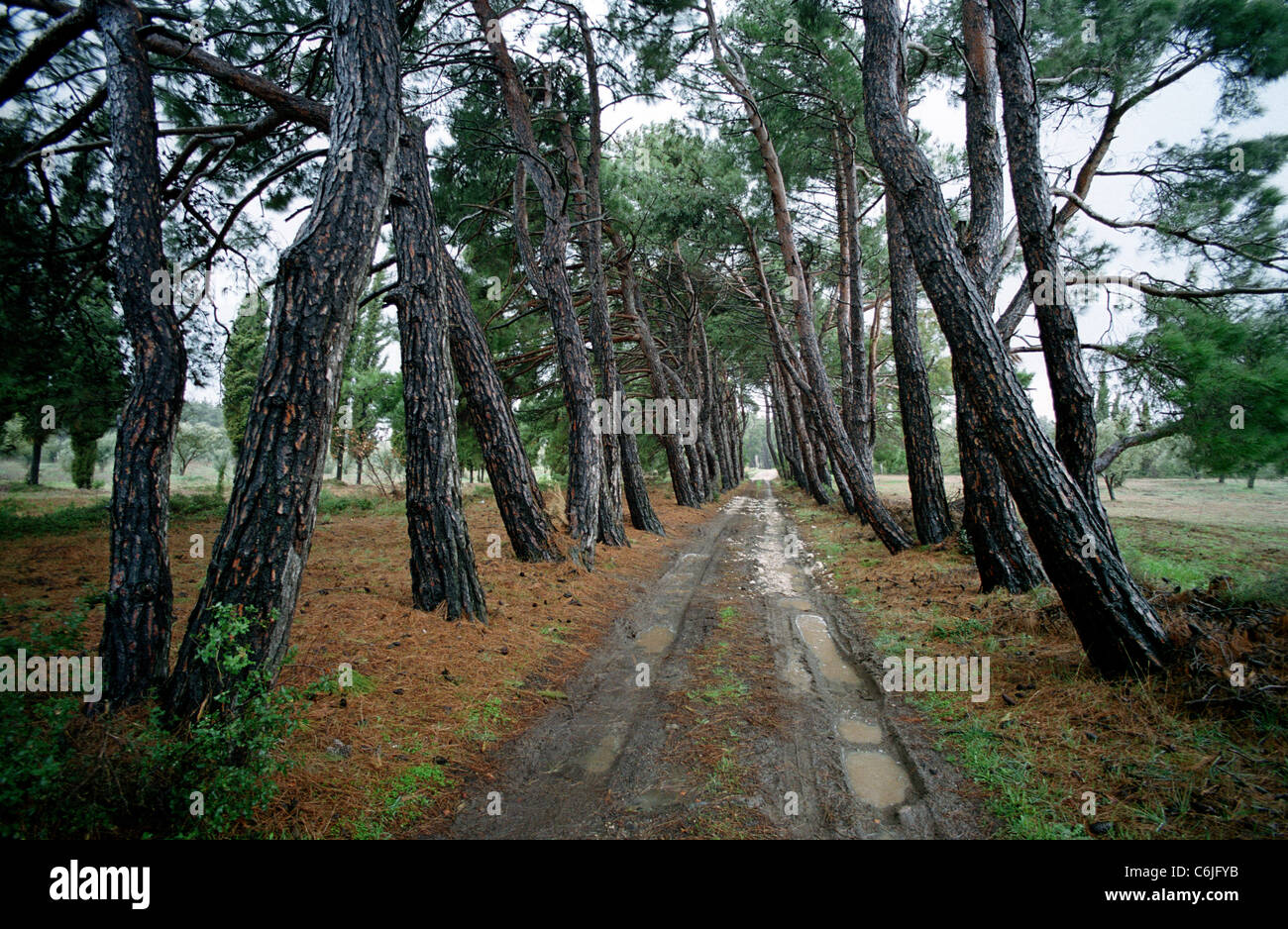 Redoubt cemetery, Gallipoli Battlefield Turkey from 1915 campaign ...