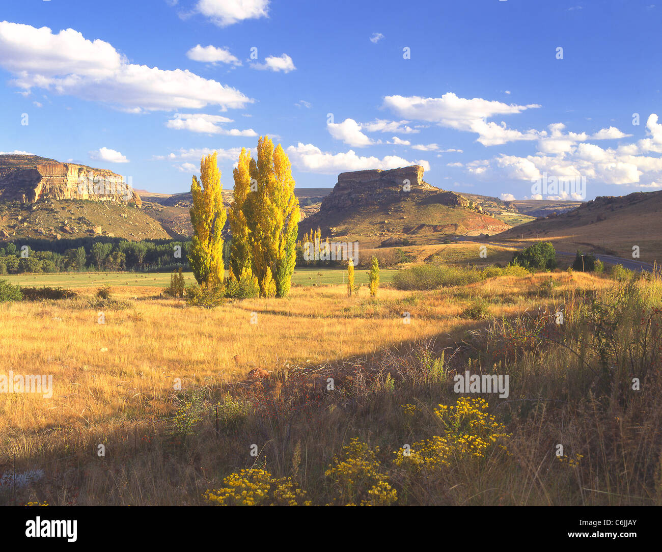 Fouriesburg hi-res stock photography and images - Alamy