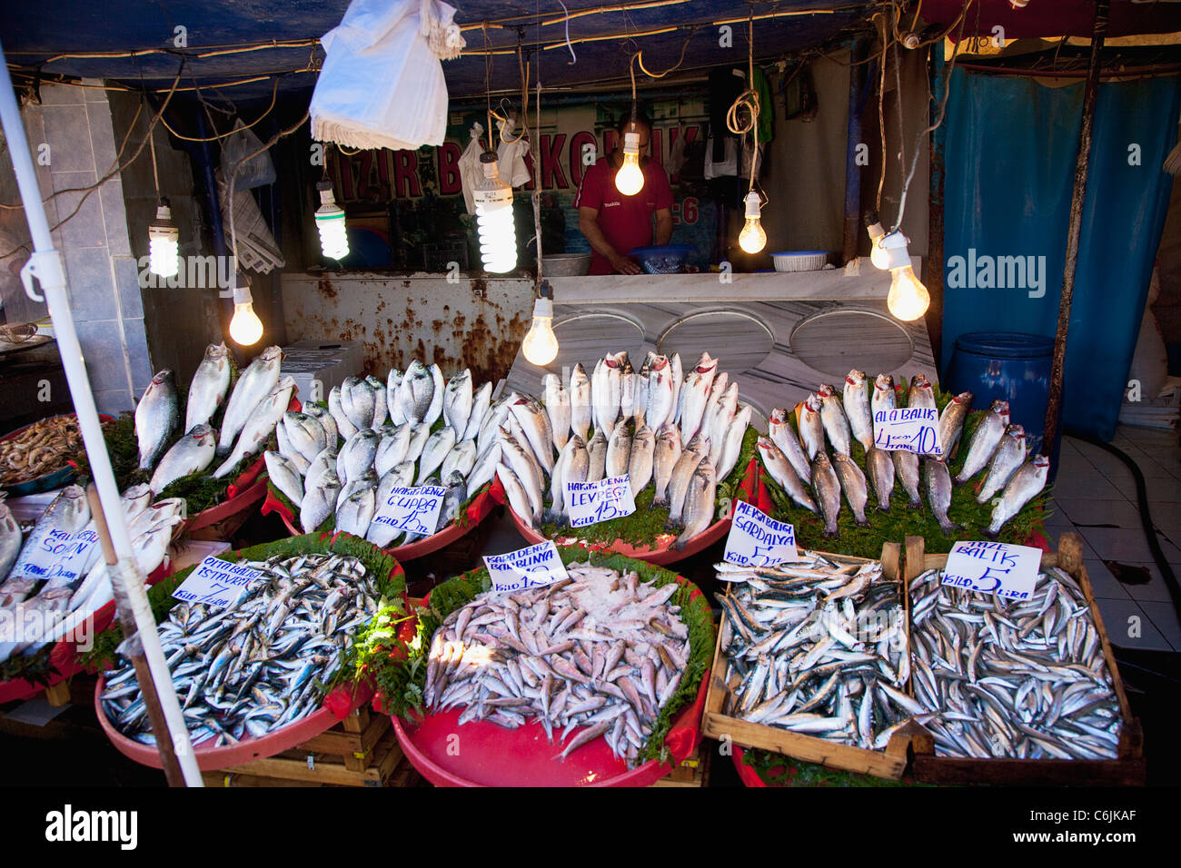 Turkey, Istanbul, Karakoy, Galata fish market, display of fresh catch ...