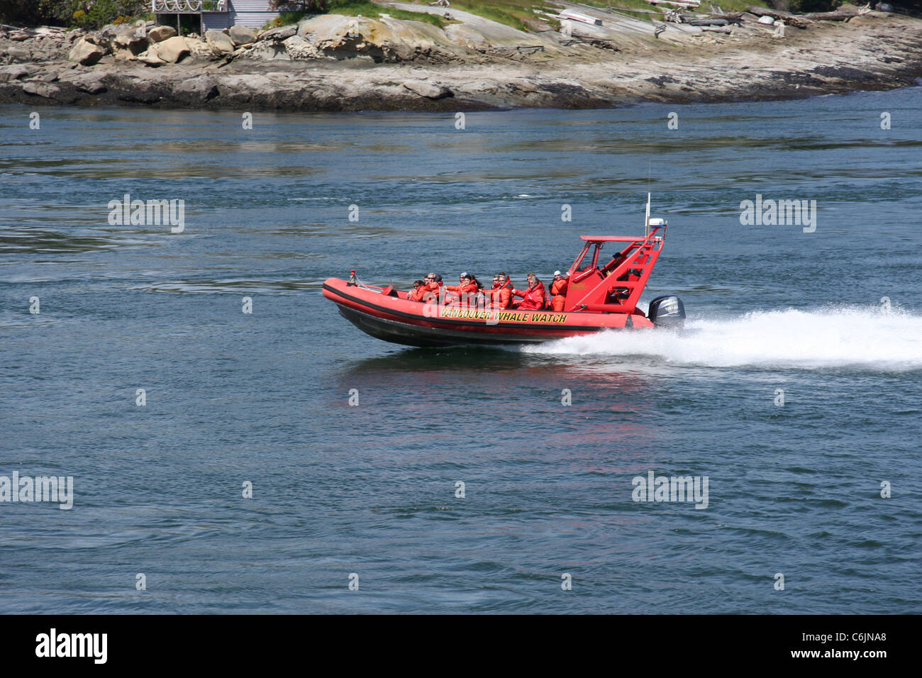 Vancouver Whale Watch in Active Pass - British Columbia Stock Photo - Alamy
