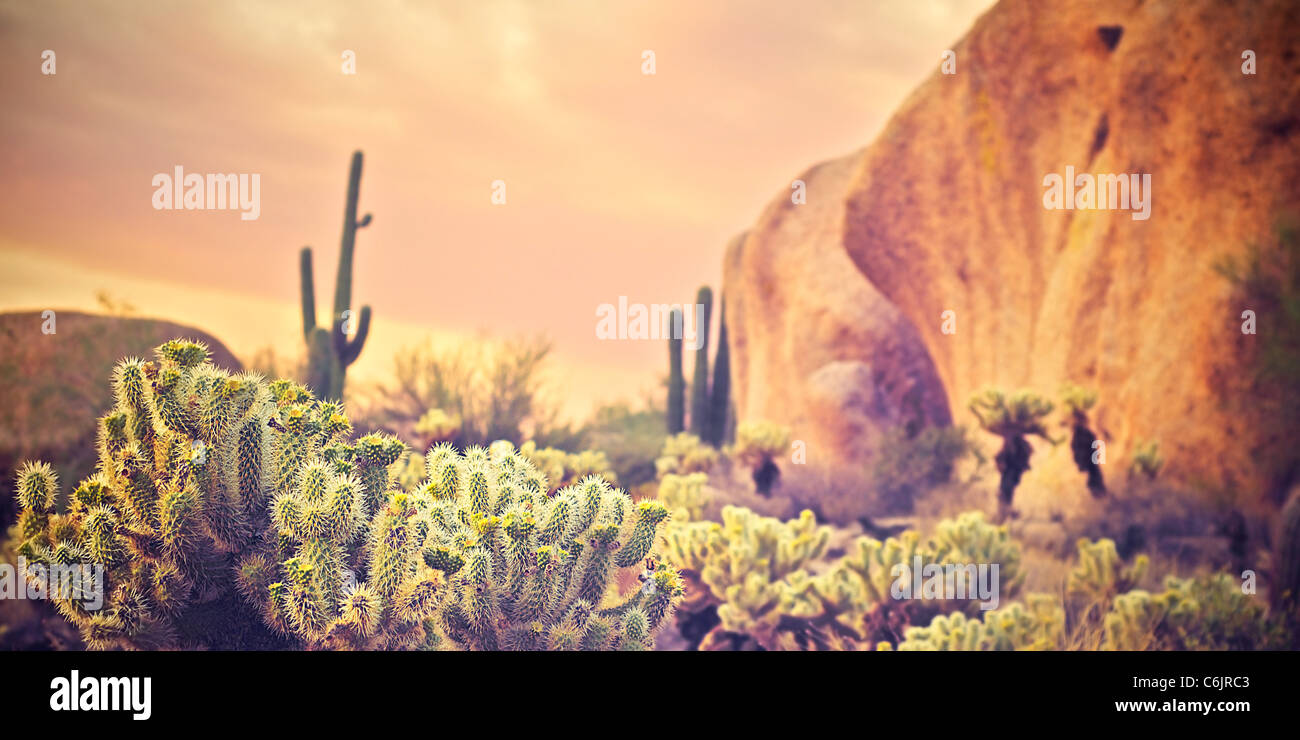 Arizona desert wild landscape with red rocks and cacti Stock Photo - Alamy