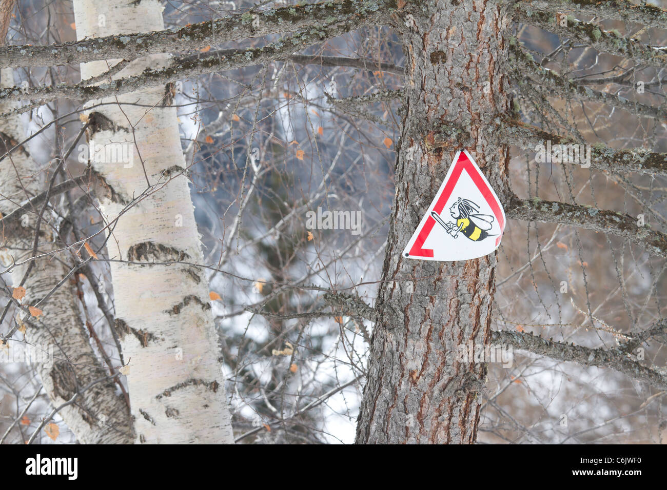 Bee danger sign Stock Photo - Alamy