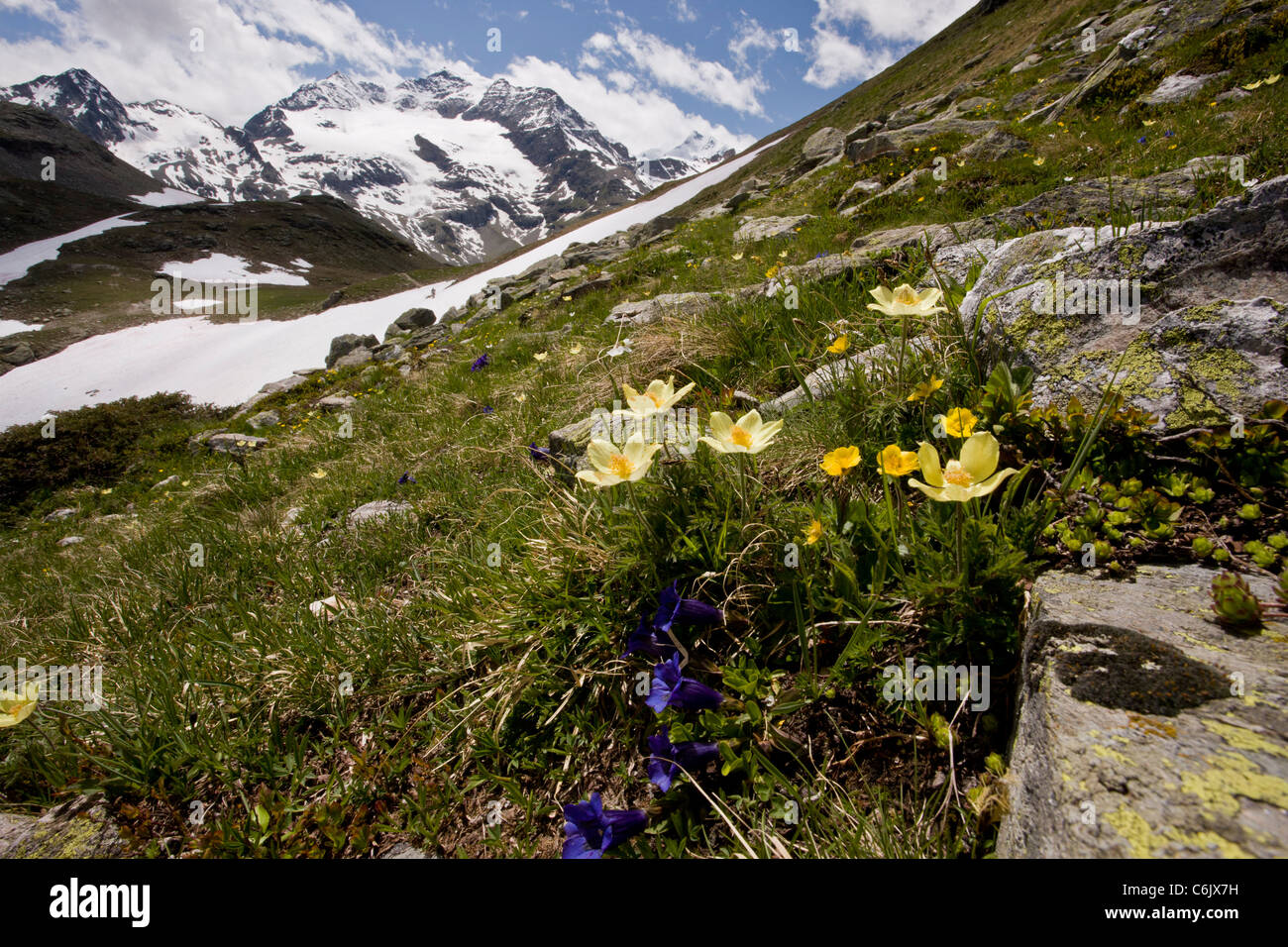 Swiss landscape poster hi-res stock photography and images - Alamy