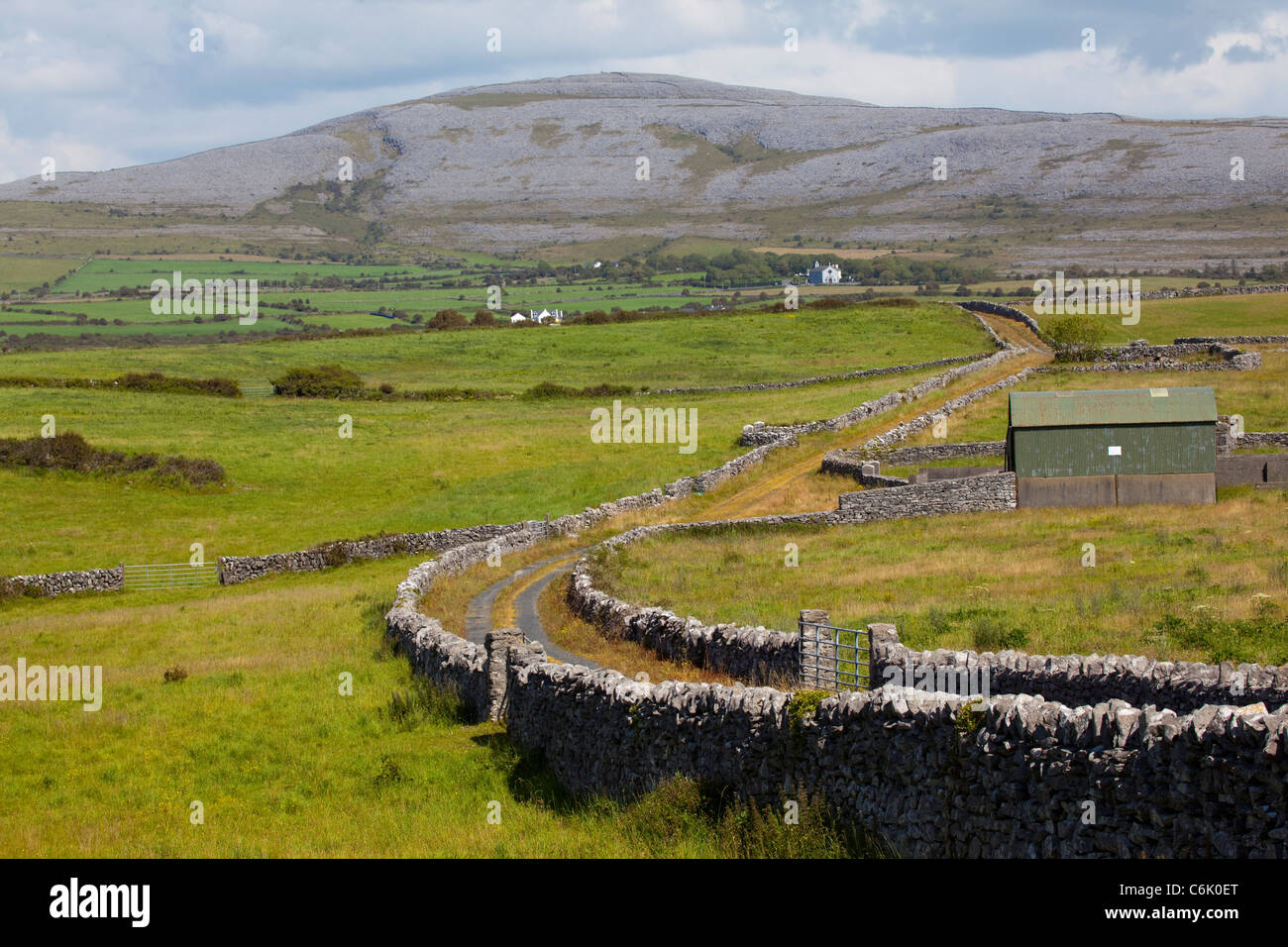 A dry stone walled farm lane leading towards the limestone hills near ...