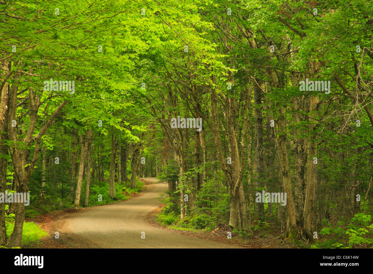 Robinsons island hi-res stock photography and images - Alamy