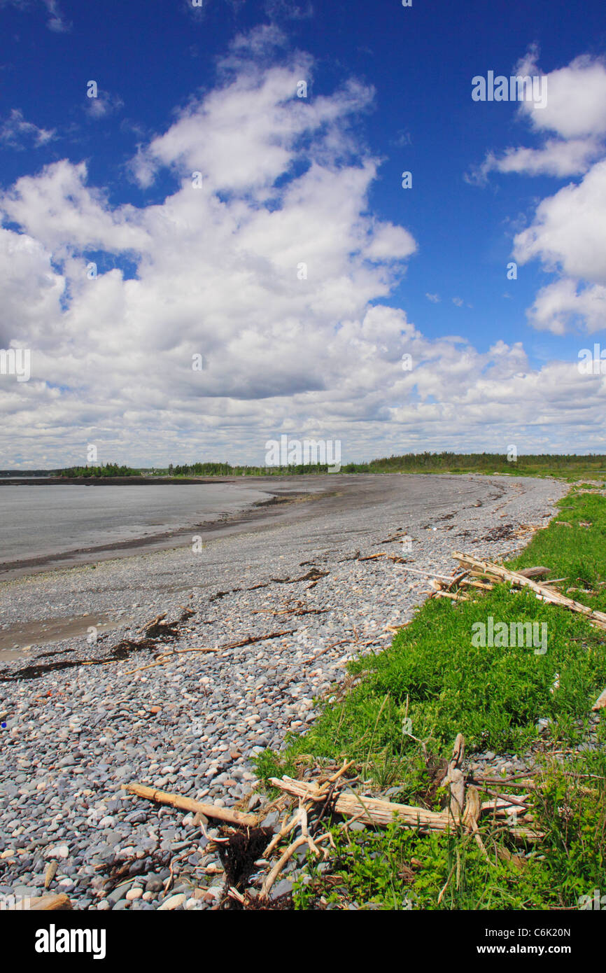 Lower duck pond roosevelt campobello hi-res stock photography and ...