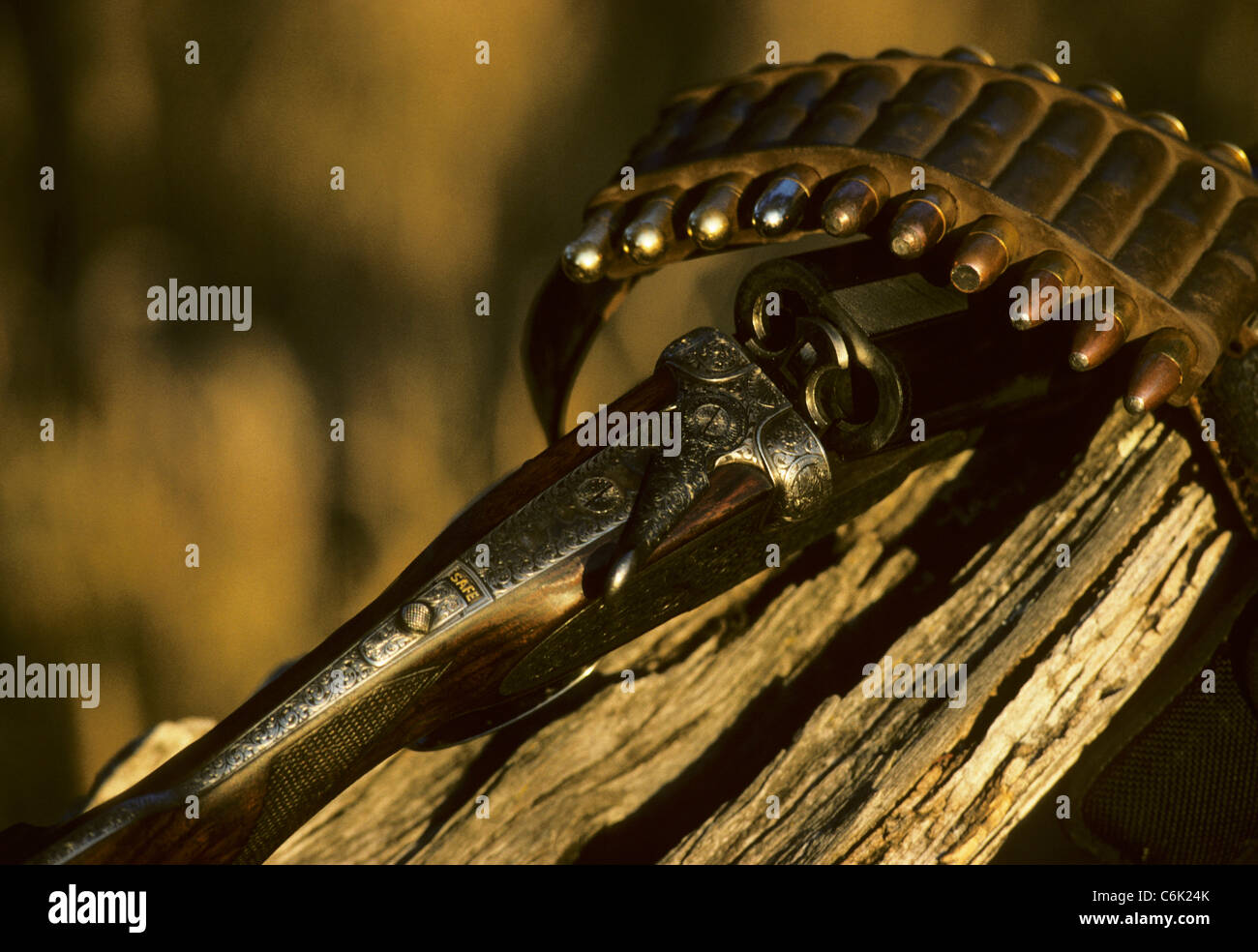 Double barrel gun hi-res stock photography and images - Alamy