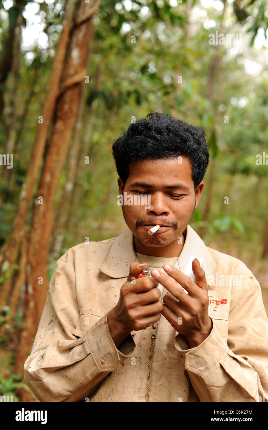 Portrait of a mahout who looks after elephants in Cambodia Stock Photo ...