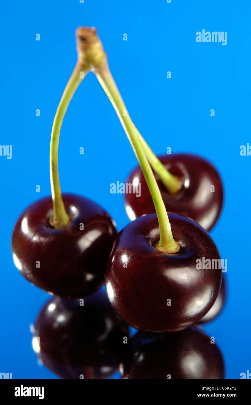 Three cherries close-up Isolated on blue background Stock Photo - Alamy