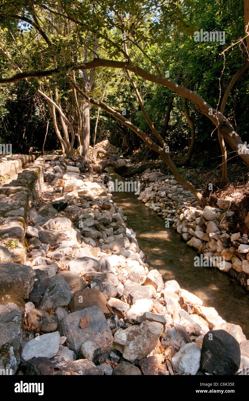 Ancient waterway wtih stone walls, Olympos, Turkey Stock Photo - Alamy
