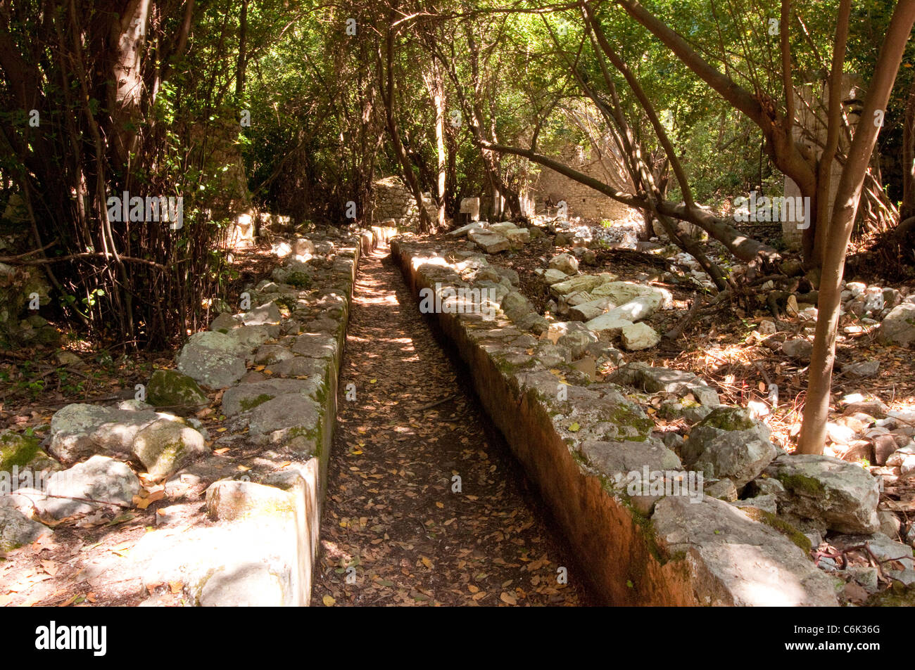 Ancient walkway in the forest, ruins of Olympos, Turkey Stock Photo - Alamy