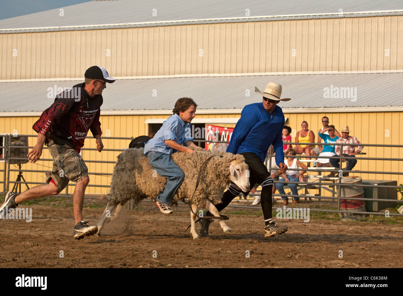 Riding Sheep High Resolution Stock Photography and Images - Alamy