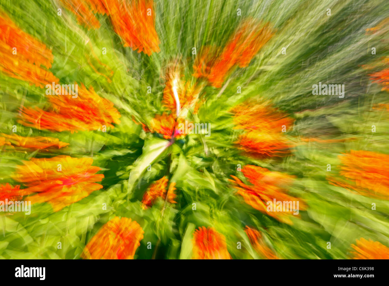 Orange effect hi-res stock photography and images - Alamy