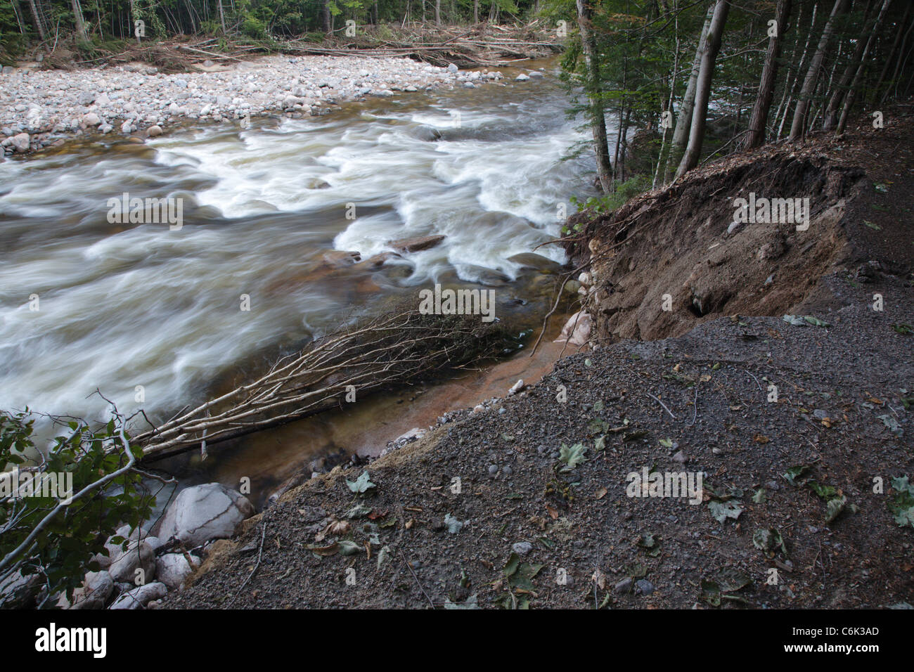 Tropical Storm Irene in in the White Mountains National Forest of New ...