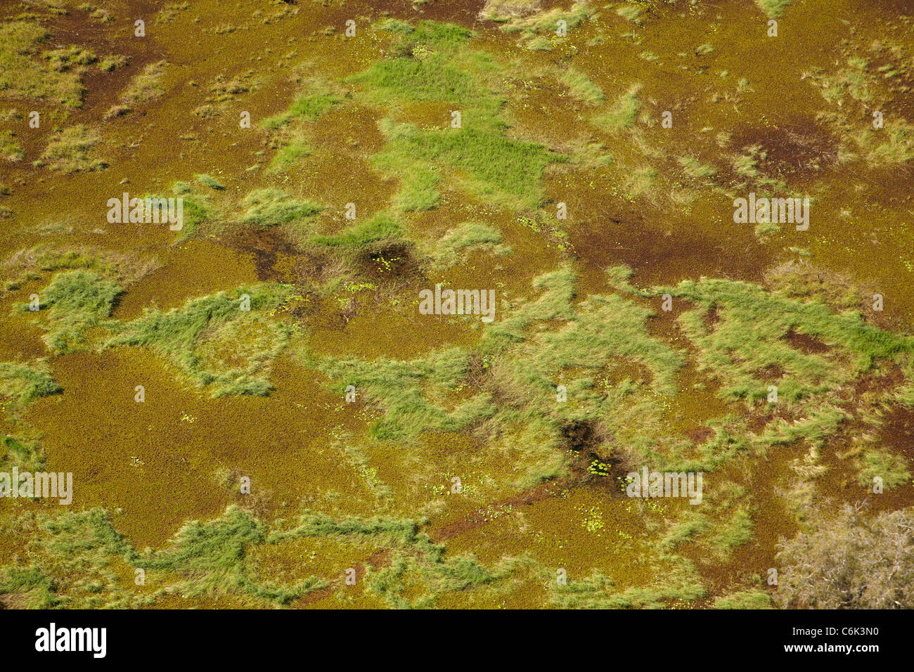 Kakadu national park floodplains aerial hi-res stock photography and images - Alamy