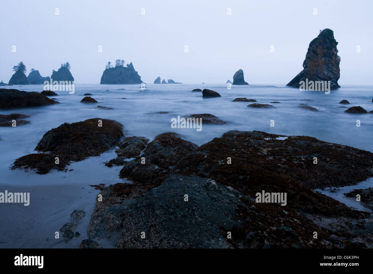 Point of Arches, Shi Shi Beach, Olympic National Park, Washington Stock ...