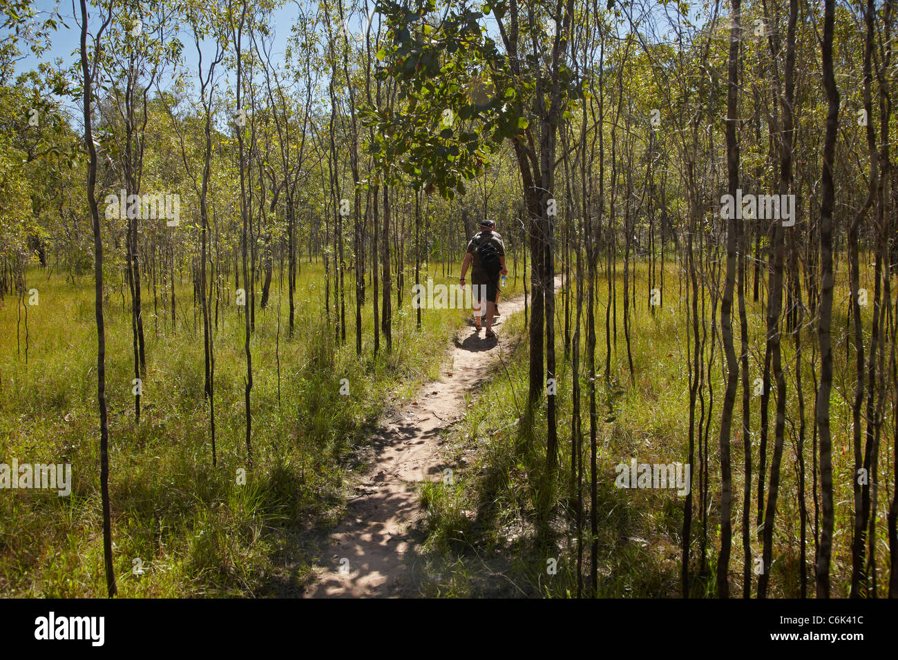 Tourists on track through bush to nawurlandja lookout hi-res stock ...