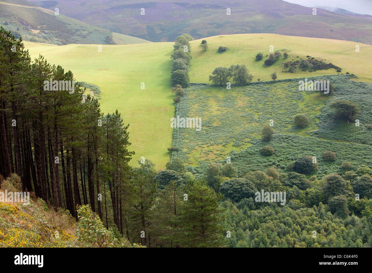 The Vale of Clwyd from the Clwydian Hills in north Wales Stock Photo ...