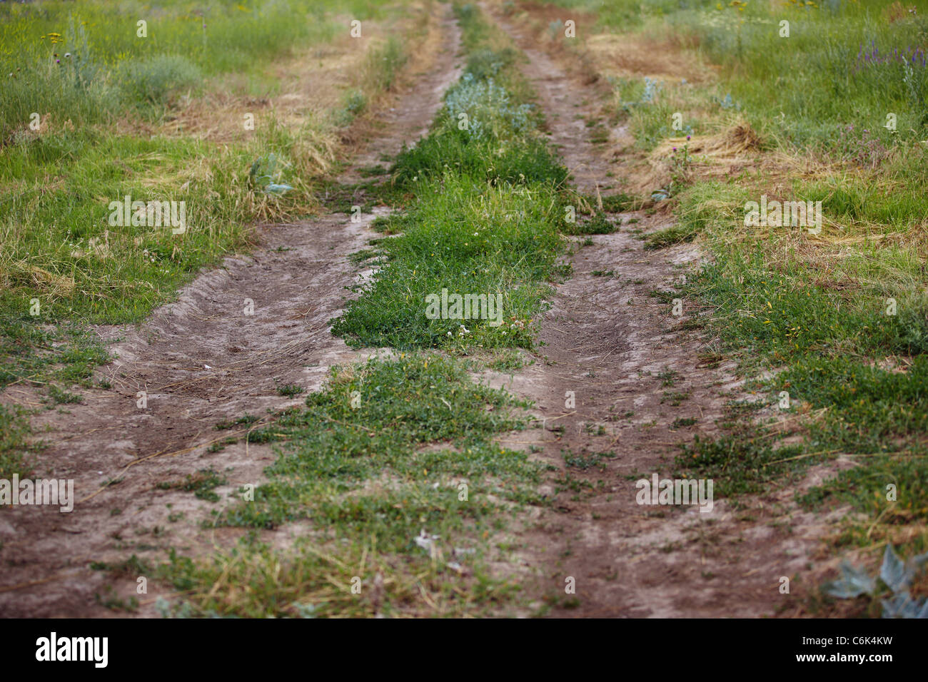 View on country road in the field. Horizontal photo Stock Photo - Alamy