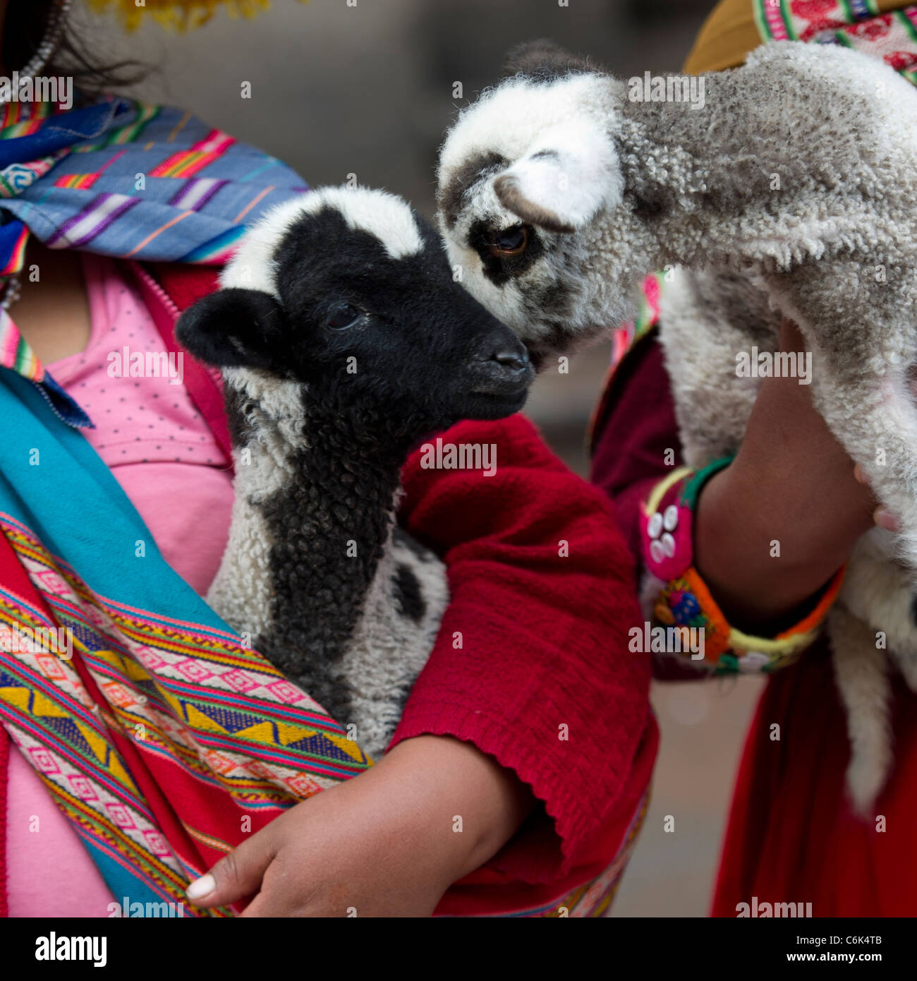 Two women holding kid goats hi-res stock photography and images - Alamy