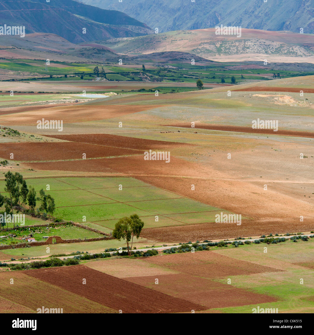 Agricultural field in Sacred Valley, Cusco Region, Peru Stock Photo - Alamy