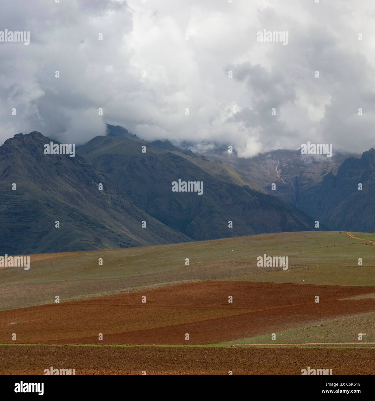 Agricultural field in Sacred Valley, Cusco Region, Peru Stock Photo - Alamy