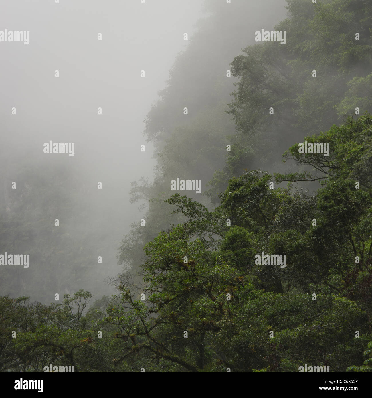 Fog in Sacred Valley, Cusco Region, Peru Stock Photo - Alamy