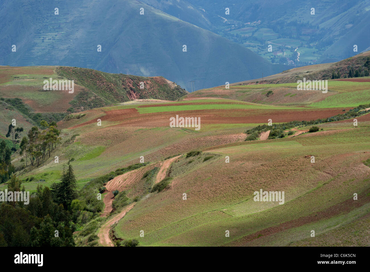Agricultural field in Sacred Valley, Cusco Region, Peru Stock Photo - Alamy