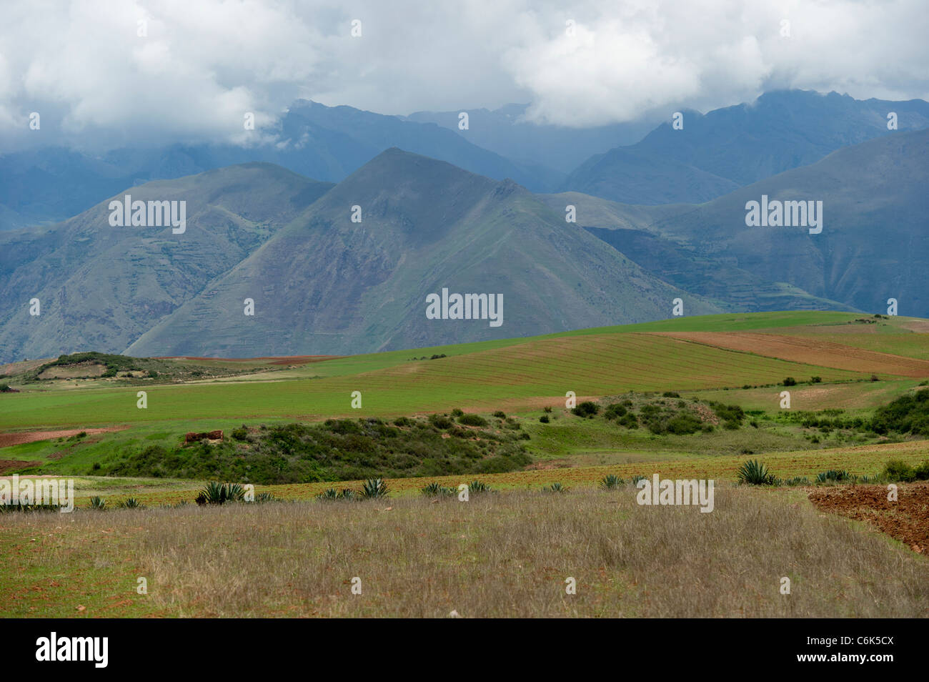 Agricultural field in Sacred Valley, Cusco Region, Peru Stock Photo - Alamy