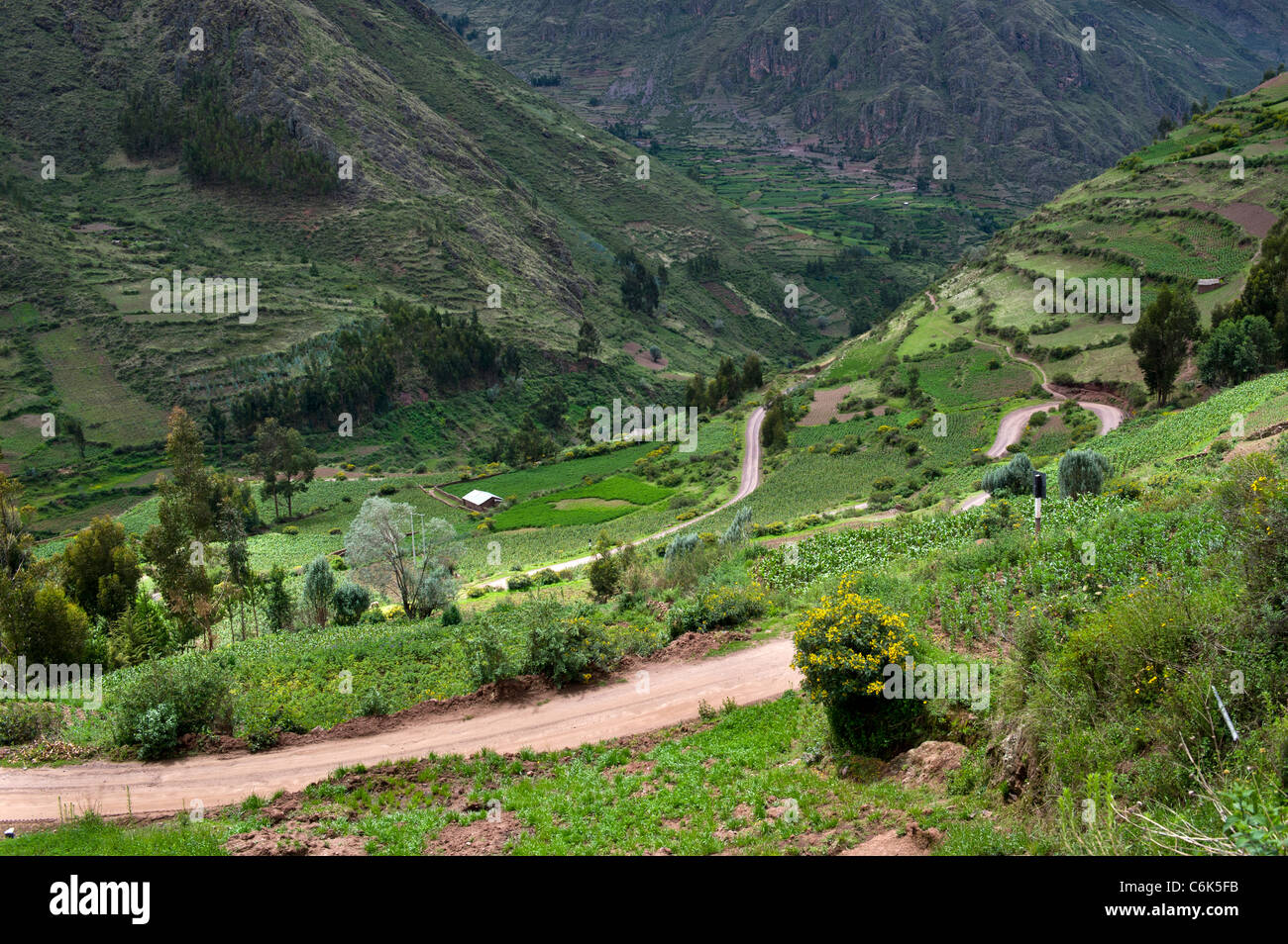 Agricultural field in Sacred Valley, Cusco Region, Peru Stock Photo - Alamy