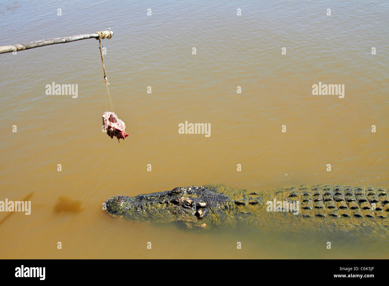 Jumping Crocodile Cruise, Adelaide River, Northern Territory, Australia ...