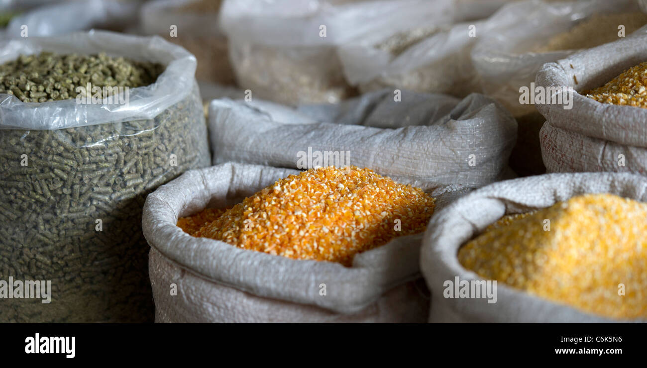 Beans for sale at a grocery store, Sacred Valley, Cusco Region, Peru ...